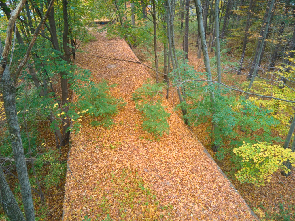 Aerial images of the healing garden site – Eli's Garden of Healing