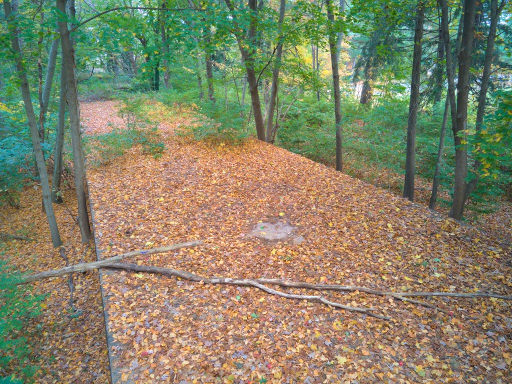 Aerial images of the healing garden site – Eli's Garden of Healing